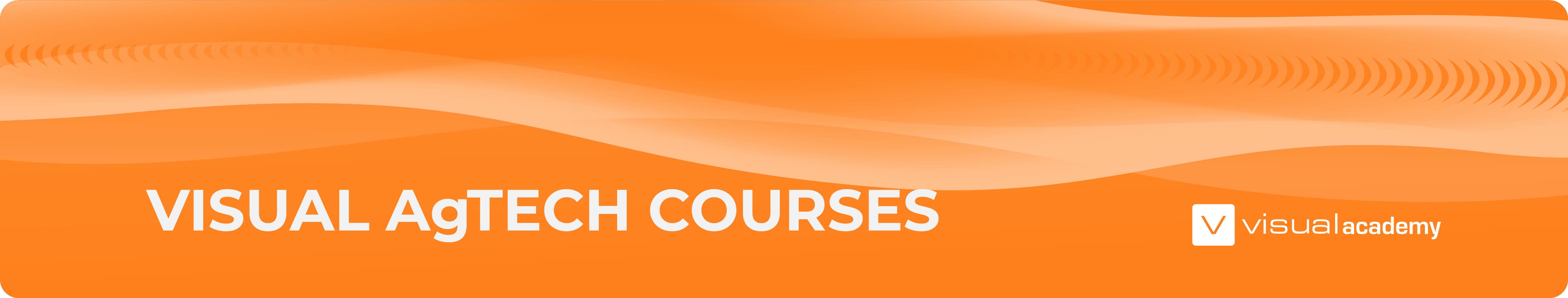 VisualCourses